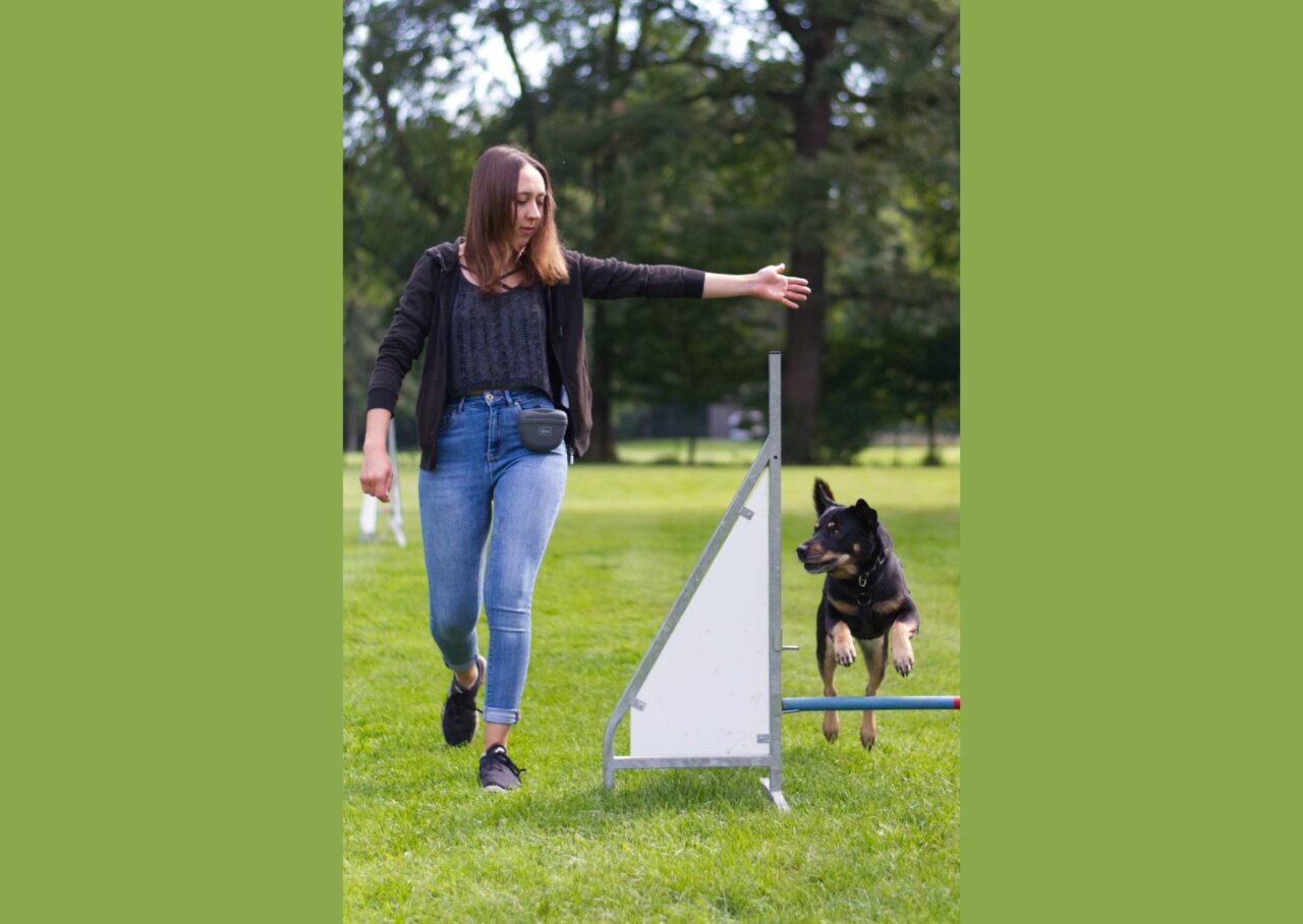 Rally Obedience - Hundefreunde Dachau e.V.